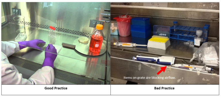 3. BIOSAFETY PRACTICES AND PROCEDURES | Biosafety Program